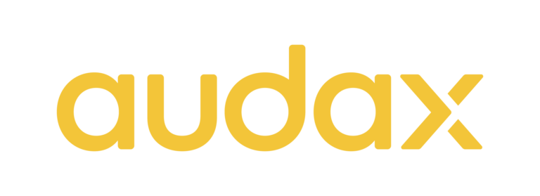 Economic and Financial Information – Audax Renovables